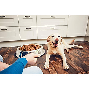 Evolution Renewables Bio-Based Propylene Glycol – USP/NF/FCC (Excipient/Food Use Only) (Product Code: 049000) Kosher and Halal (Drum 476 LBS)