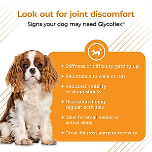 VetriScience Glycoflex 3 Clinically Proven Hip and Joint Support Supplement for Small Dogs - Maximum Strength Dog Supplement with Glucosamine, MSM, Green Lipped Mussel & DMG - 60 Chews,Chicken Flavor​