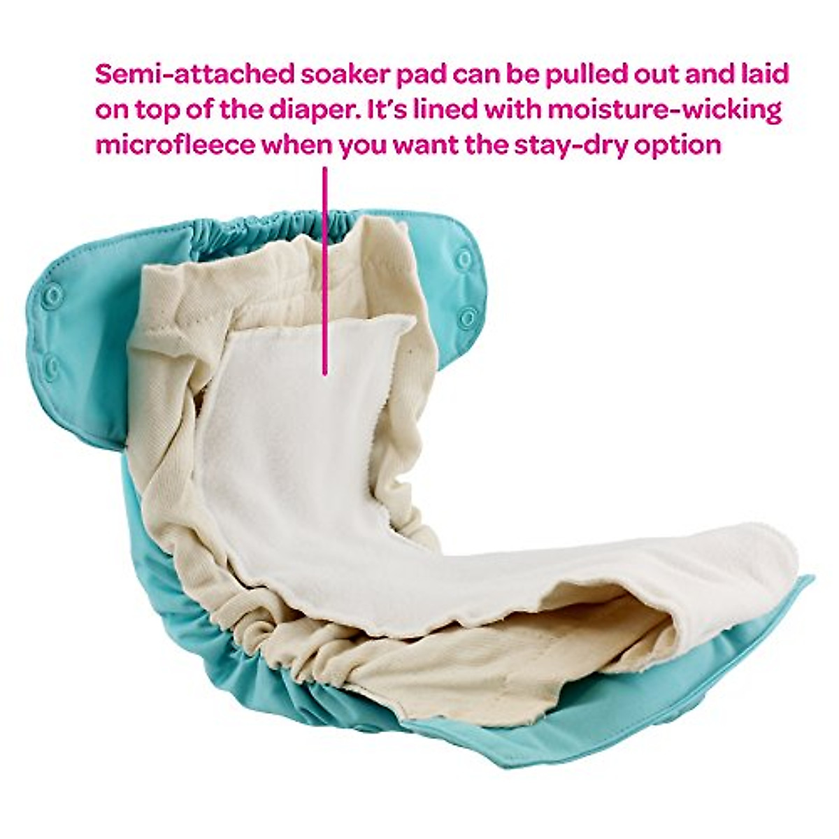 Blueberry One Size Simplex All in One Cloth Diapers, Made in USA (Picnic)