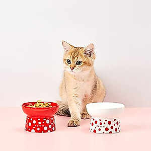 PETKIT Ceramic Raised Cat Food Bowl Two Bowls, Elevated Cat Food and Water Bowls Set, Porcelain Pet Dishes Bowls fr Small Pets Kitten Puppy