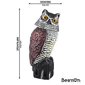 Rolan Owl Decoy Model Used to Scare Birds Away - Flashing Eyes & Frightening Sound Owls for Bird Control