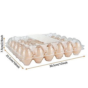 20 Pack Egg Cartons, Plastic Egg Cartons Bulk, Empty Clear Plastic Egg Carton Holds Up to 30 Eggs, Reusable Chicken Egg Tray Holders for Family Pasture Chicken Farm, Market Display, Storage