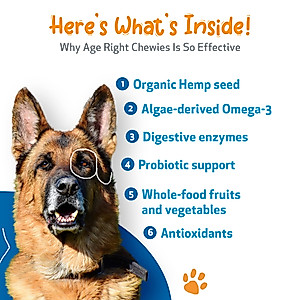 Pet Wellbeing Age Right Chewies for Dogs in Their Prime & Senior Years - Vet-Formulated - Daily Multifunctional Support for Joint Mobility, Immune, Heart Health, Shiny Coat, Energy - 90 Soft Chews