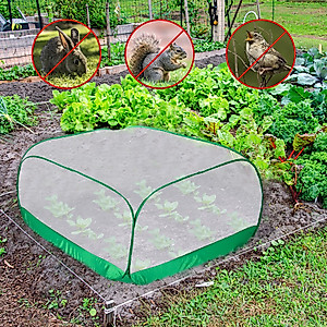 Upgraded Garden Netting - 3.3 × 3.3 × 1.65 FT Plant Covers Net for Square Raised Garden Bed, Ultra Fine Garden Mesh Netting Protection from Bird Pest Barrier Net Row Cover for Plant Fruit Vegetable