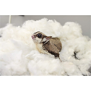 All-Natural Nesting Material (4 oz.) - 100% Cotton Eco-Friendly Animal Bedding - For Sugar Gliders, Squirrels, Hamsters, Rabbits, Chinchillas, Rats, Mice, Gerbils, Guinea Pigs and Other Small Pets