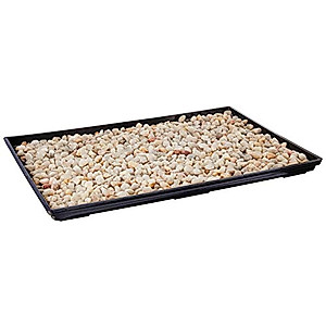 Brussel's 13" Humidity Tray with Decorative Rocks