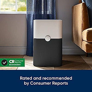 BLUEAIR Air Purifier (2-pack) for Home Large Room up to 2,592sqft in 60 min, HEPASilent, Wildfire, Removes Particles like Smoke Allergens Dust Mold Pet Hair Odor Bacteria, Blue 211+, Gray