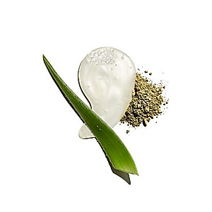 Jack Black Beard Wash for Men - Beard Wash and Conditioner for Men, Beard Conditioner for Men, Beard Softener for Men, Mens Beard Care Products, Beard Products for Men, Mens Beard Wash, Gifts for Men