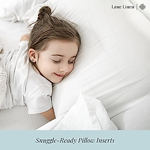 LANE LINEN Standard Pillows for Sleeping - Bed Pillows Set of 4 - Luxury Hotel Quality Down Alternative Pillows for Back and Side Sleeper, Soft and Supportive Gusseted Cool Breathable Pillow, 20x26