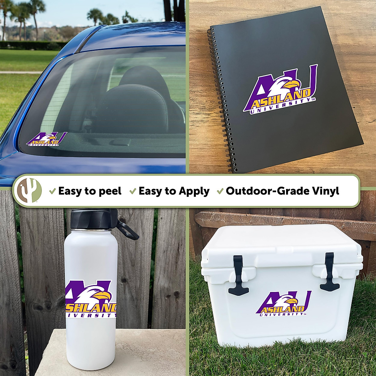 Desert Cactus Ashland University Eagles Vinyl Decal Laptop Water Bottle Car Scrapbook Sticker (IND 00006)