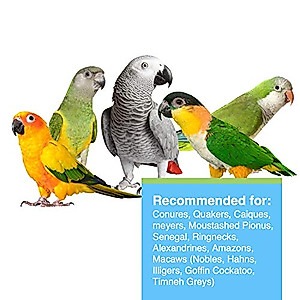 Hagen Tropimix Enrichment Food for Small Parrots, 20 lb. (9.07 kg) - HARI Small Parrot Food with Seeds, Fruit, Nuts, Vegetables, Grains, and Legumes