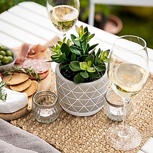 Kurrajong Farmhouse Artificial Plant | 8" Fake Plant for Desk Decor | Artificial Succulent in Pot | Fake Succulent | Faux Plant Indoor | Succulent Plant Artificial | Faux Succulent for Shelf Decor