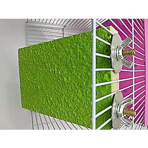 Hypeety Colorful Bird Perch Stand Platform for Parrot Macaw African Greys Budgies Parakeet Cockatiels Natural Wood Paw Grinding Clean Cage Toy (Random Color)(B)