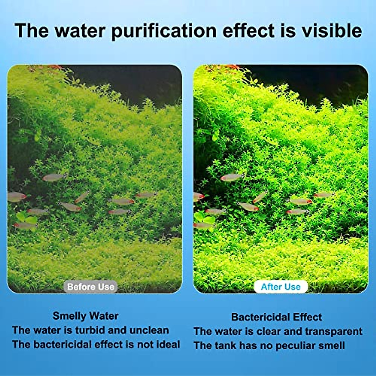 AMZBD Fish Tank Filter Cartridge for Top Fin Cartridges,PF-L Aquarium Filter Cartridges,Replacement Filter Cartridge for TOP FIN PF20,PF30,PF40 & PF75 Power Filters(12Pack)