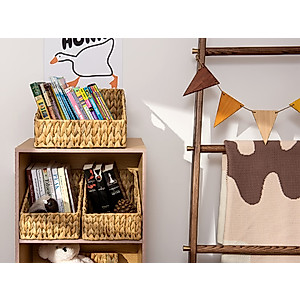 StorageWorks Wicker Baskets for Storage