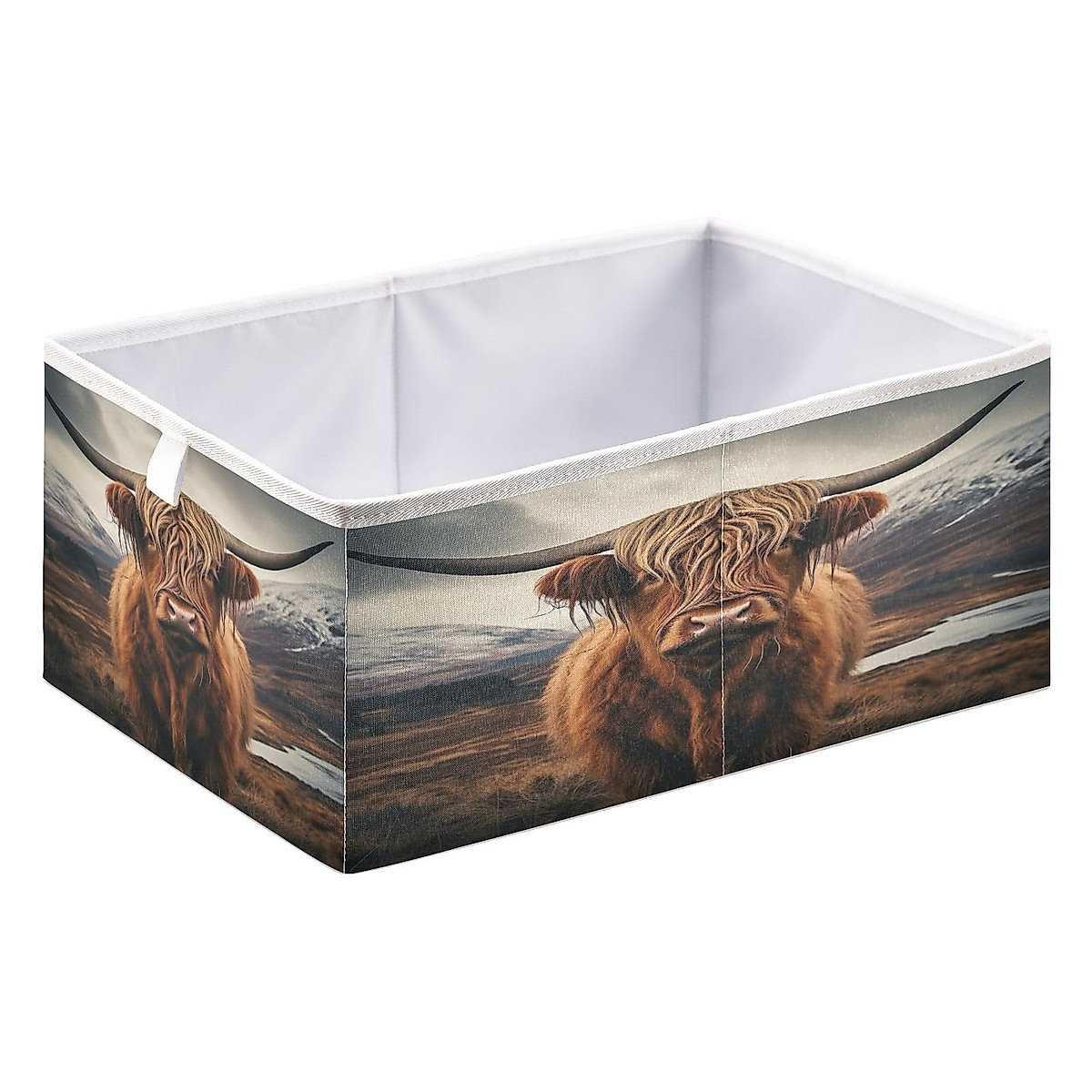 Haskirky Highland Cow Foldable Collapsible Storage Box Bins,11x11x11 Inch Cubes Baskets Fabric Storage Bins with Handles for Shelves Nursery Closet Home Decor