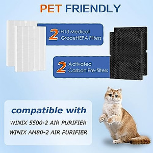 116130 Replacement Filter H for Winix 5500-2 Am80 Plasmawave Air Purifier True HEPA Carbon Filter, 2 Set