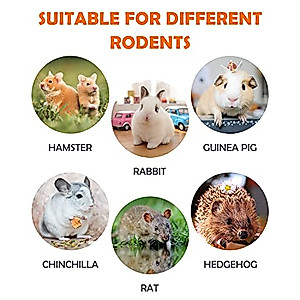 Sofier 12Pcs Timothy Hay Treats Rabbit Toys Bunny Toys Guinea Pig Toys Natural Chews for Teeth Handmade Rabbit Chews and Treats Chinchilla Rat Hamster Gerbil