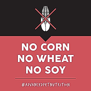 Earthborn Holistic Ultimates Overland Red with Beef Grain-Free Dry Dog Food