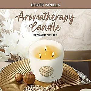 Large Exotic Spiced Vanilla Candle, Scented Candles for Home, Hand-Poured Aromatherapy 3 Wick Candle for Gift with Flower of Life Design, 50-Hour Burn Time, 14oz OneSoul Collection