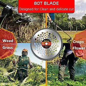 Rokrou 2 Pack Weed Eater Blades Brush Cutter Blades 10" 80T &10" 40T, Grass Cutter Trimmer with Washer 25.4mm/1" to 20mm/0.78"