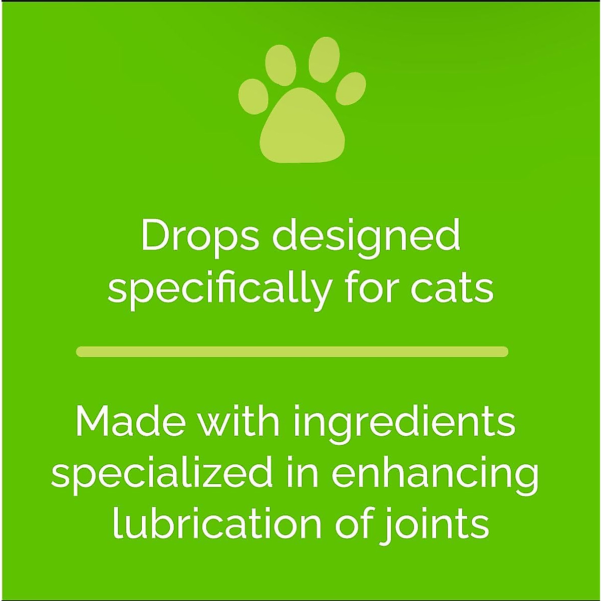 Artricat Dietary Supplement by Interfarma Corp | Cartilage Protection, Reduce Inflammation, & Joint Support for Cats | with Glucosamine, Collagen, & Hyaluronic Acid | Pineapple Flavor, Drops (2)