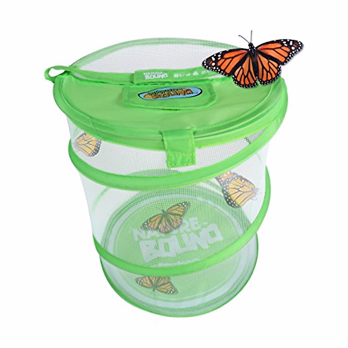 Nature Bound Butterfly Growing Habitat Kit - With Discount Voucher to Redeem Live Caterpillars for Home or School Use - Green Pop-Up Cage 12-Inches Tall - for Boys and Girls Ages 5+