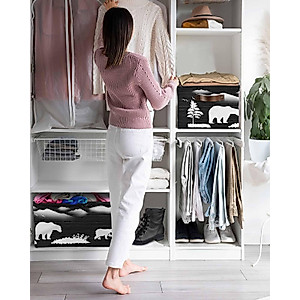 Bear Black Cube Storage Organizer Bins with Handles 2 Packs 15x11x9.5 Inch Collapsible Canvas Cloth Fabric Storage Basket for Shelves,Closet Forest Animal Tree Birds Abstract Mountain White