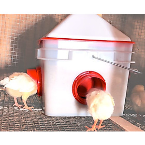 RentACoop Chick2Chicken 10lb BPA-Free 4-Port Feeder - Includes Anti-Roost Cone, Slider Port Cover, and Lid - Suitable for up to 20 Chicks & 12 Adult Chickens