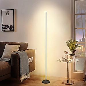 DENGALA LED Modern Floor Lamp - Metal Line Design Standing Corner Lamp with Remote Controller - Dimmable Floor Lamps for Living Room Bedrooms, 2700K-6500K Lights for Indoor Decor Black