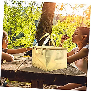 ULTECHNOVO Delivery Bag 2pcs Insulated Tote Insulated for Food Portable Cooler Collapsible Picnic Basket Cake Delivery Cake Cooler Pizza Thermal Aluminum Golden Hot Food Fold