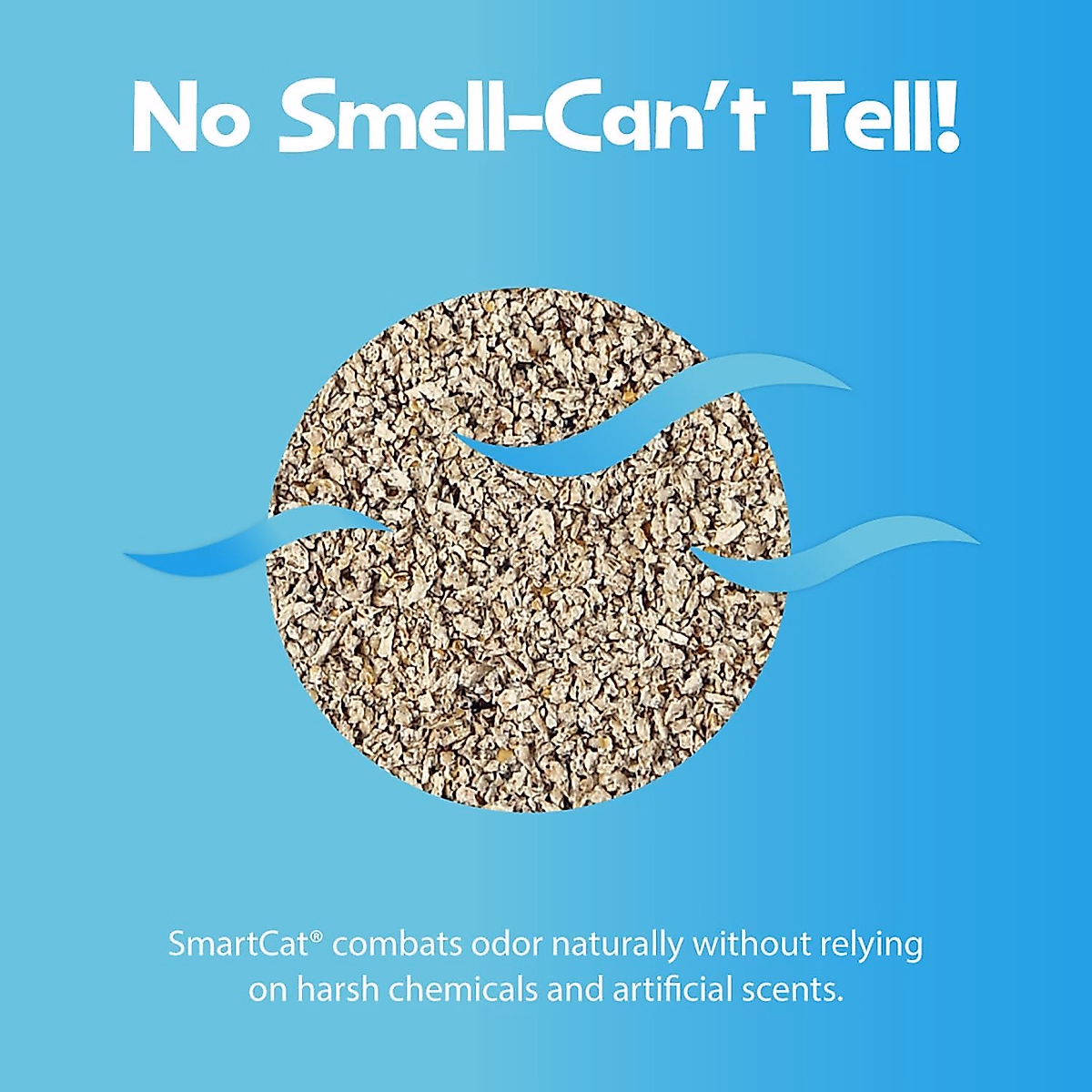 SmartCat All Natural Clumping Cat Litter, 10 Pound (160oz 1 Pack) - Alternative to Clay and Pellet Litter - Chemical and 99% Dust Free - Unscented and Lightweight