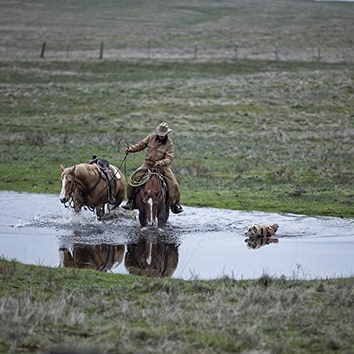 Carhartt Firm Duck Insulated Dog Chore Coat Army Green/Brass , Large