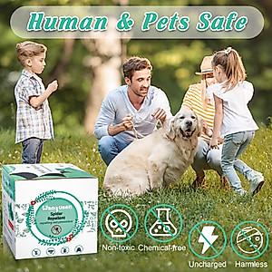 8 Pack Spider Repellent Pouches for House Indoor, Spider Deterrent Peppermint Oil and Lemongrass Formula Spider Repellent Bags, No-Toxic Stay Away Spider