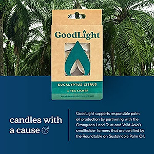 GOODLIGHT Candles Tea Lights Eucalyptus Citrus, 6 CT