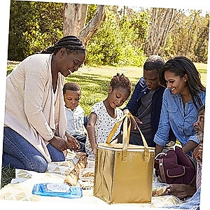 FONDOTIN Large Cooler Bag Insulated Lunch Cooler Bags Insulated Hot Bags Insulated Storage Bag Zipper Food Bag Food Warmer Bag Insulated Reusable Grocery Bags Golden Non-woven Fabric