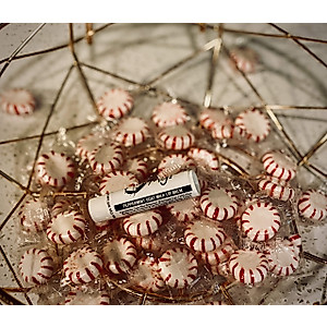 O My! Goat Milk Lip Balm - 3 Pack | Shea Butter and Vitamin E | Free of Parabens & More | Handcrafted in USA