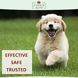 Punkin Butt for Pets Puppy Teething Oil to Stop Chewing and Relieve Discomfort | All Natural, Organic, Safe for Dogs, Chemical-Free (2 oz)