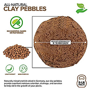 Stock Your Home 5Lbs LECA Balls Expanded Clay Pebbles Hydroponics Soil Supplies for Indoor Garden Plants - Organic Aquaponics Grow Media Drainage Layer Terrarium