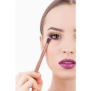 Eye Makeup Brushes Set with Travel Case 5Pcs Essential Eyeshadow Brush Blending and Shading Smudge (Pink)