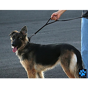 Max and Neo Double Handle Traffic Dog Leash Reflective - We Donate a Leash to a Dog Rescue for Every Leash Sold (Black, 6 FT)