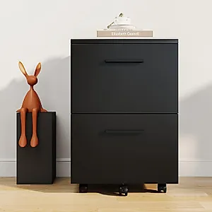 VICLLAX 2 Drawer Mobile Filing Cabinet, Vertical File Cabinet for Legal/Letter/A4 Files, Assembled Needed, Black