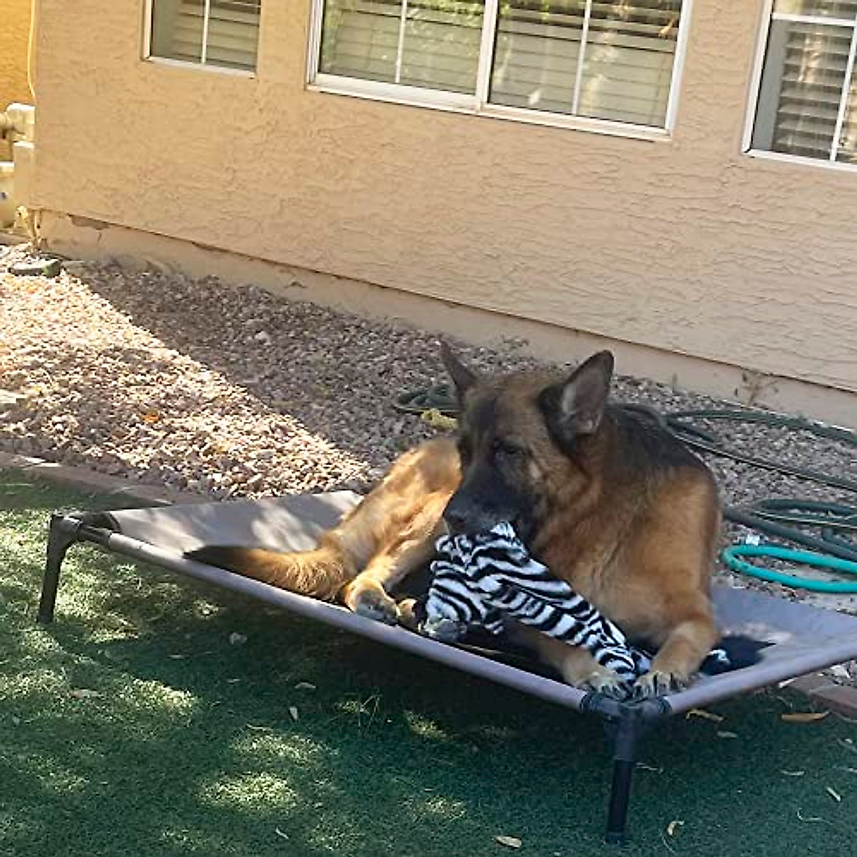 Jalousie Multipack Stuffingless Dog Squeaky Toys Dog Toy Dog with Durable Liner No Stuffing Dog Toy - Dog Toys for Pets Dogs for Small Medium Large Dogs (Medium to Large - 5 Pack)