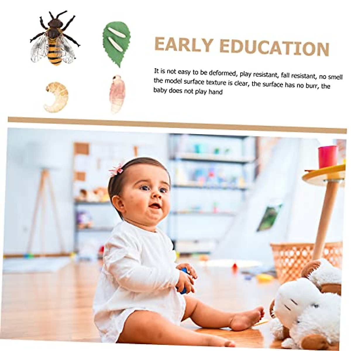 Yardenfun 1 Set Stag Beetle Growth Week Little Critters Toys Educational Toys for Kids Spider Toy Honey Life Cycle Models Growth Statue Bee Growth Cycle Plastic Honey Bee Life Cycle Models