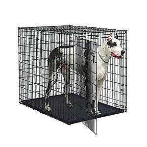 MidWest Homes for Pets 54-By-35-By-45-Inch Single-Door Starter Series Pet Crate