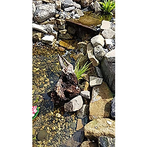 Pond H2o 5" Round Water Garden Pond Aquatic Plastic Mesh Slotted Plant Basket X 3 Pack, Plastic Water Garden Planting Basket Aquaponics, Hydroponics Slotted Mesh