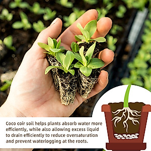 Coco Coir for Organic Coconut Coir- 2 Pack Coco Coir Brick- Coconut Soil with Low EC & PH Balance-Coco Fiber for Herbs& Flowers- High Expansion-Renewable Coco Soil for Planting