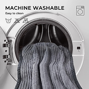 Luciphia Waterproof Pet Blankets for Couch Sofa Bed Cover Liquid Pee Proof Washable Soft Fluffy Large Dog Blanket Reversible Furniture Protection Grey X-Large（85" x 57"）