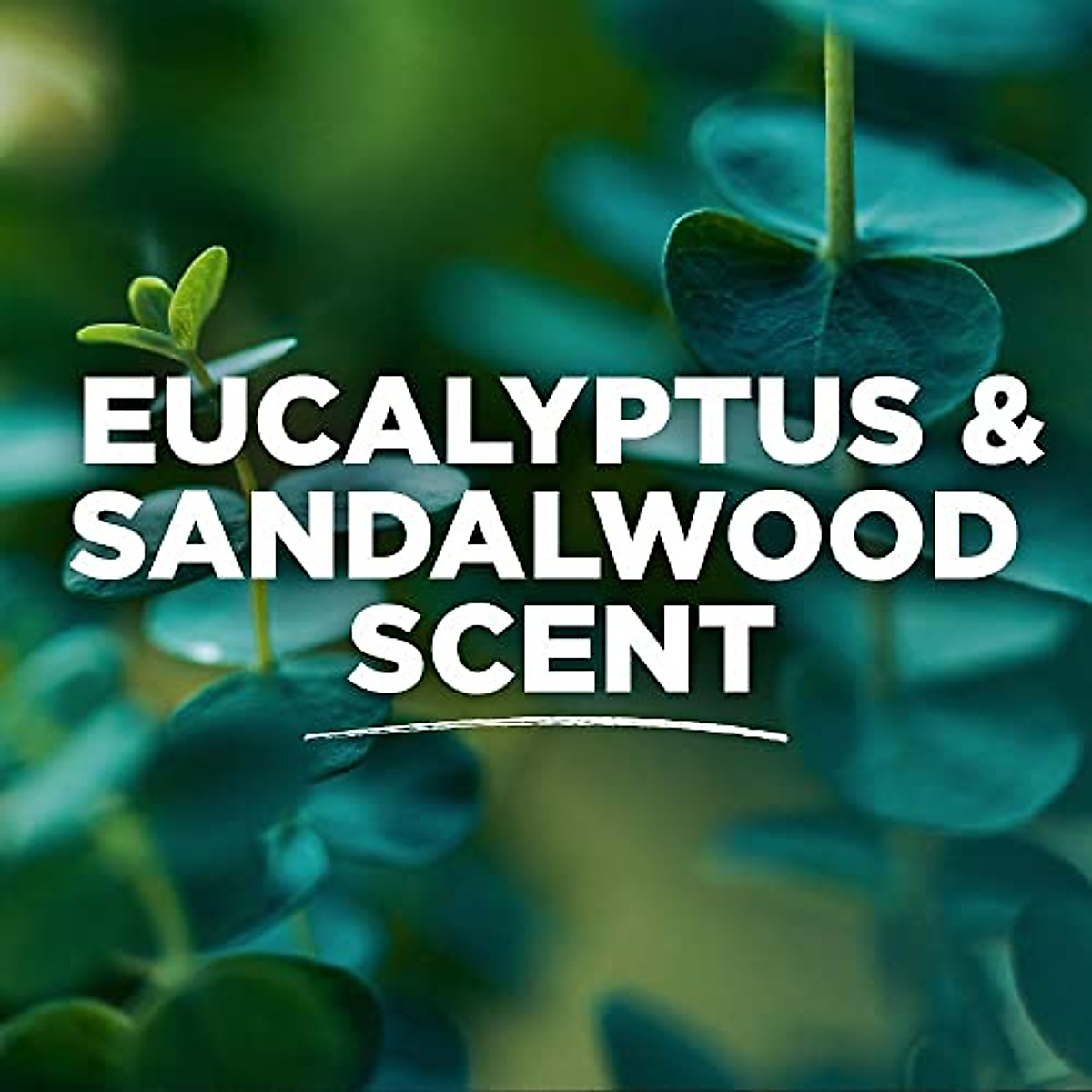 Tom's of Maine Complete Protection Aluminum-Free Natural Deodorant Variety Pack of 2: Eucalyptus & Sandalwood and Cedar & Vetiver, 2.6 oz