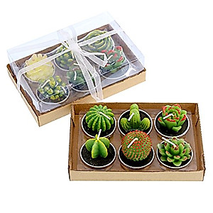 Swpeet 12Pcs Decorative Succulent Cactus Tealight Candles Kit, Cute Smokeless Succulent Plants Perfect for Candles Festival Wedding Props and House-Warming Party